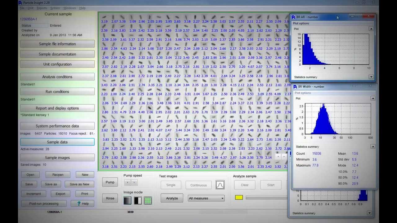 Particle Insight Video - Thin Long Particles - Results - YouTube