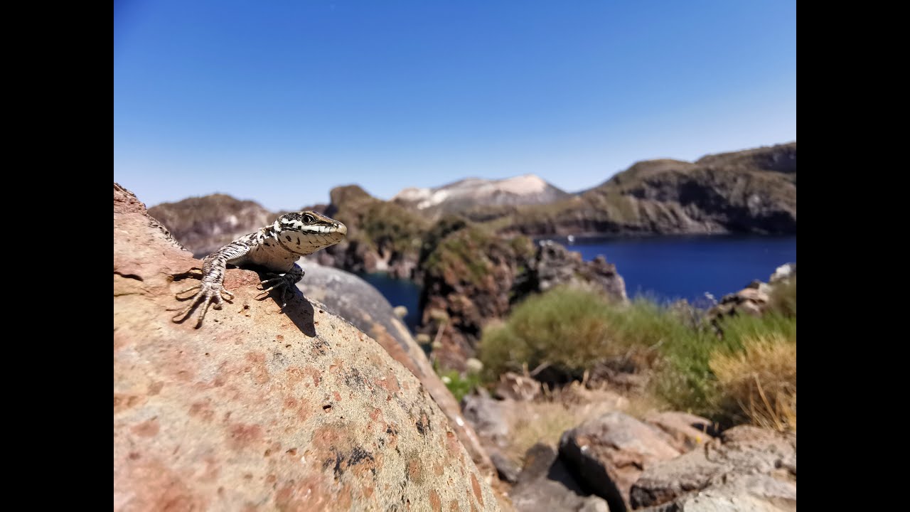 Hiking the Capo Grosso promontory of Vulcano - Home of the Aeolian wall ...