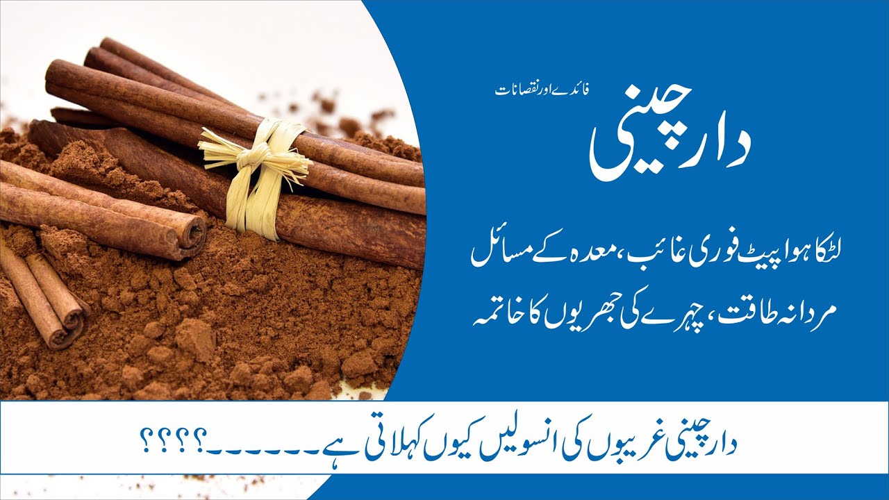 Daar cheeni k fawaid | health benefits and uses of daar cheeni urdu ...