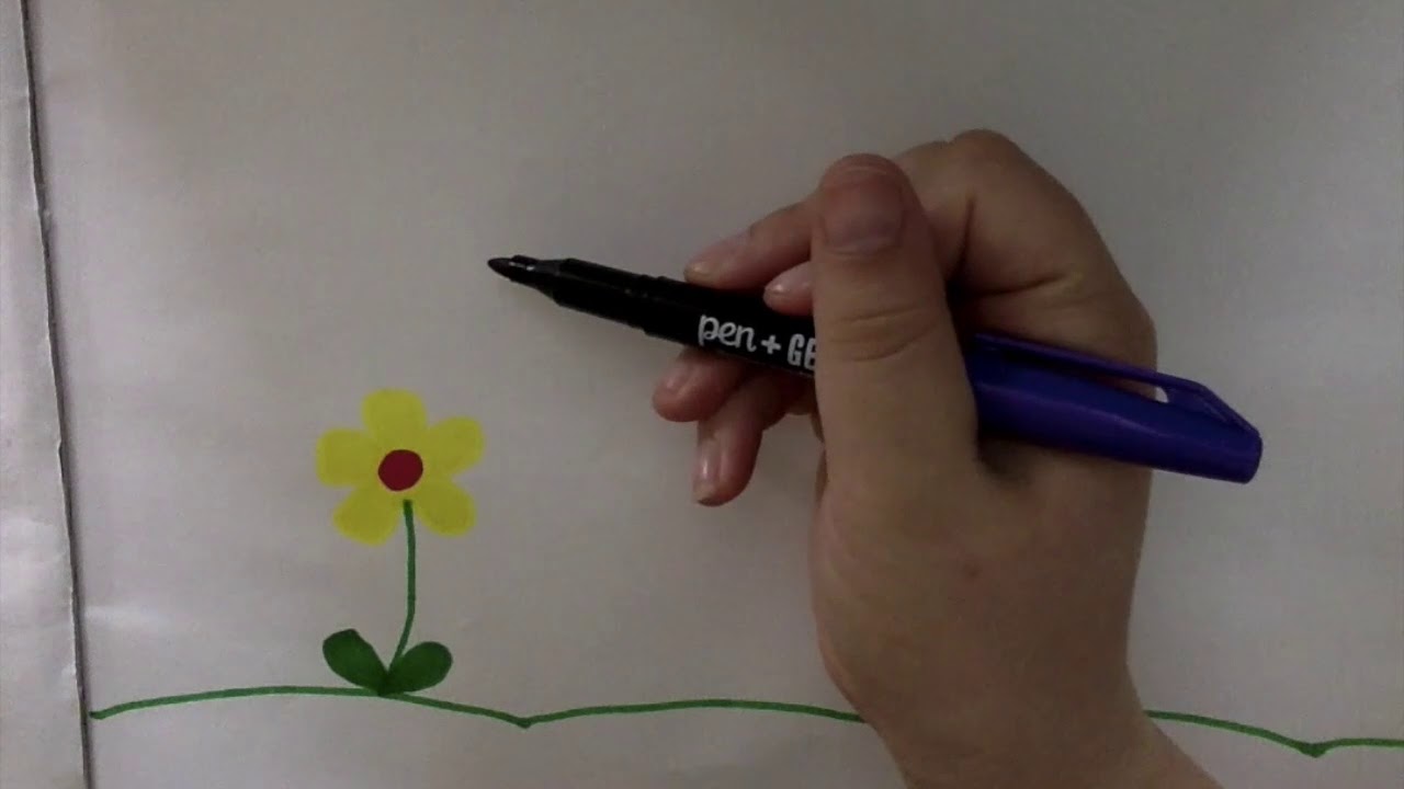 Flower Guided Drawing - YouTube