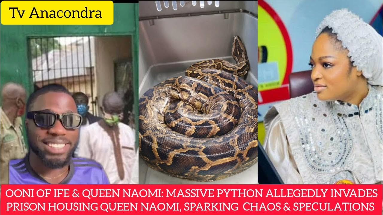HORROR AS MASSIVE PYTHON ALLEGEDLY INVADES PRISON HOUSING QUEEN NAOMI ...