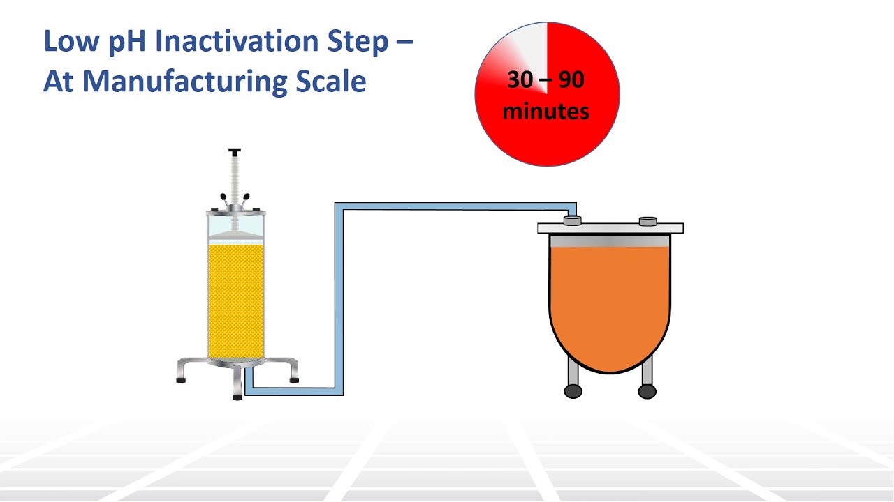 Introduction to Viral Safety Part 4 - Two Minute Tuesday Technical ...