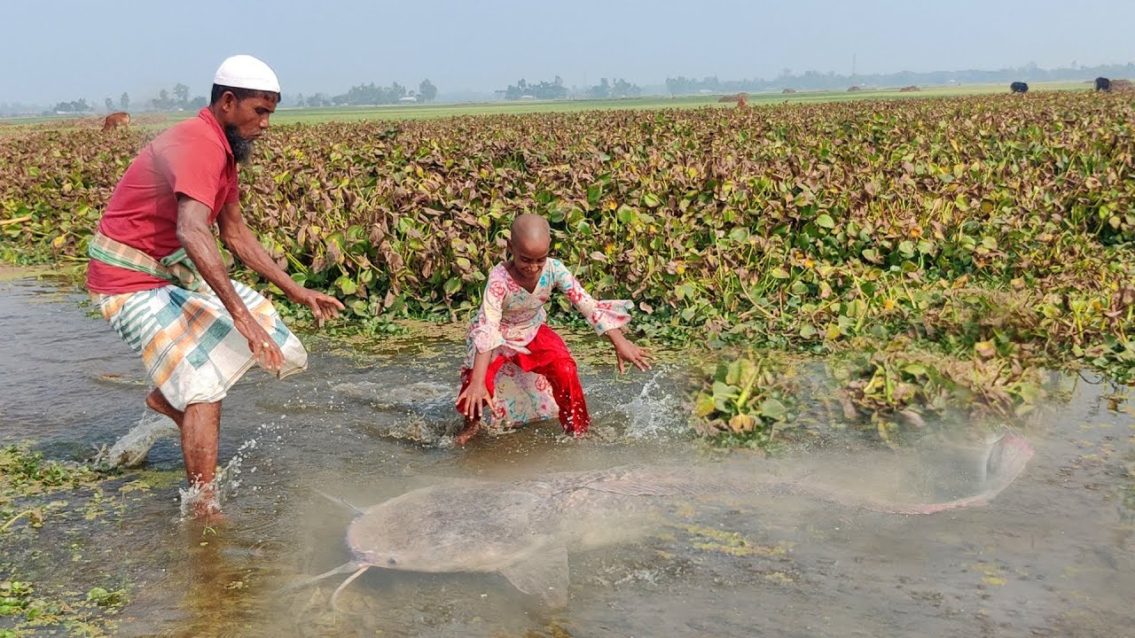 Unbelievable Hand Fishing - Big Catfish Fishing By Hand in Natural ...