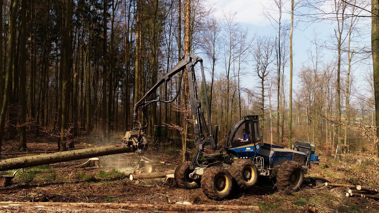 Rottne H20 B Harvester - uncut wood cutting - YouTube