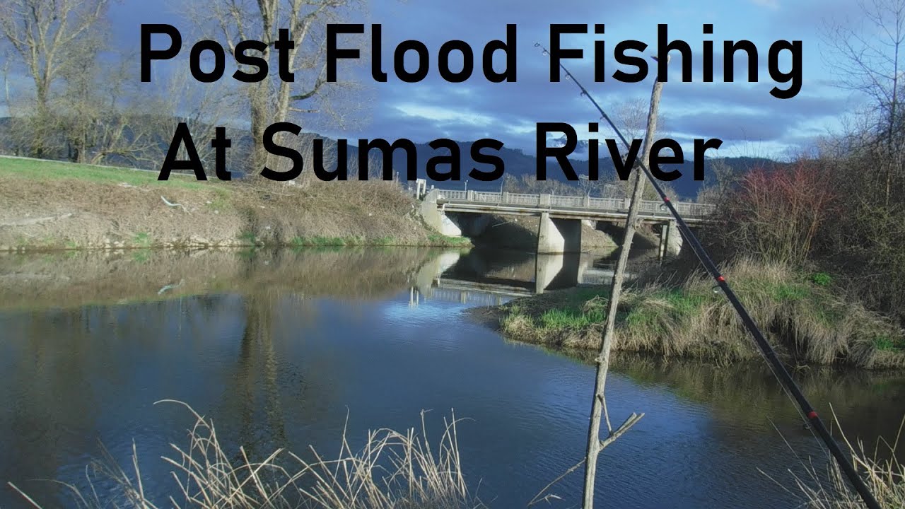 Post Flood Fishing At Sumas River - YouTube