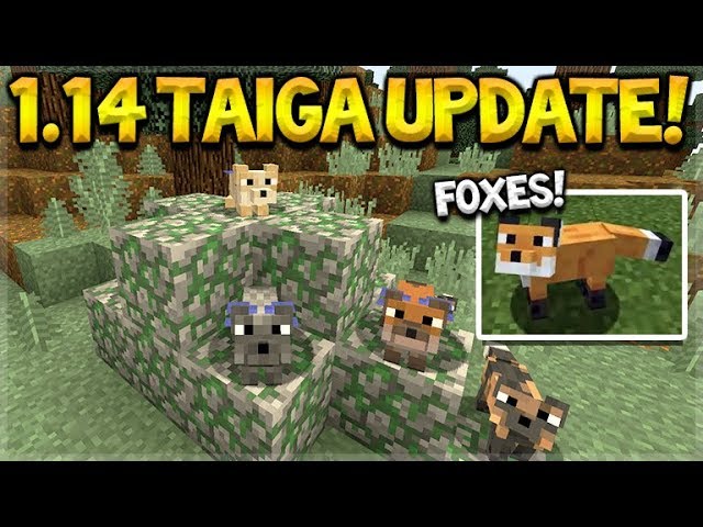 Taiga Minecraft Birch Taiga Stardust Labs Wiki