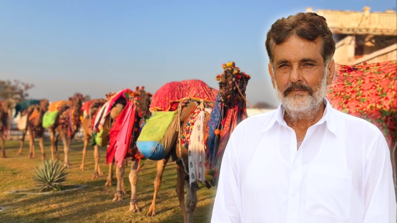 Pak Patan Se Musafiron Ka Qafla Stone Museum Aya 🐪😮 - YouTube