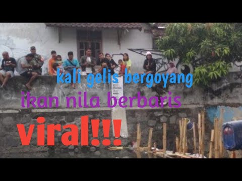 spot mancing nila kali gelis (part 6)