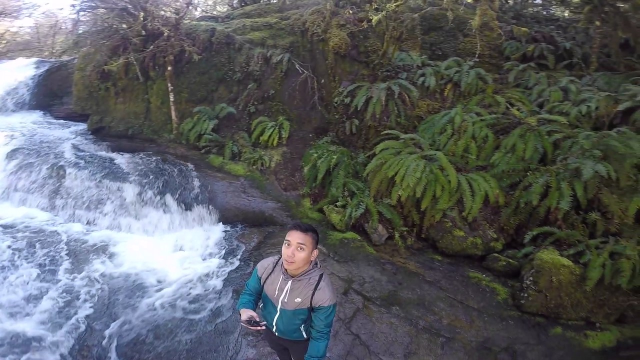 Alsea Falls - YouTube