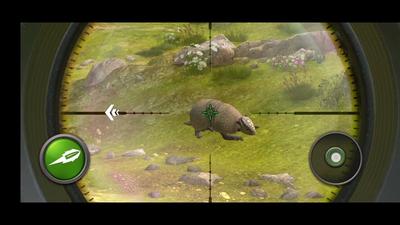 Hunting Clash-- Hunting Three-Banded Armadillo in Peru and getting 3rd ...