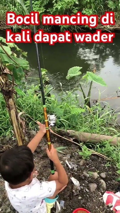 Bocil mancing di kali dapat wader #mancing #mancingmantap #fishing #mancingceria #angler - YouTube