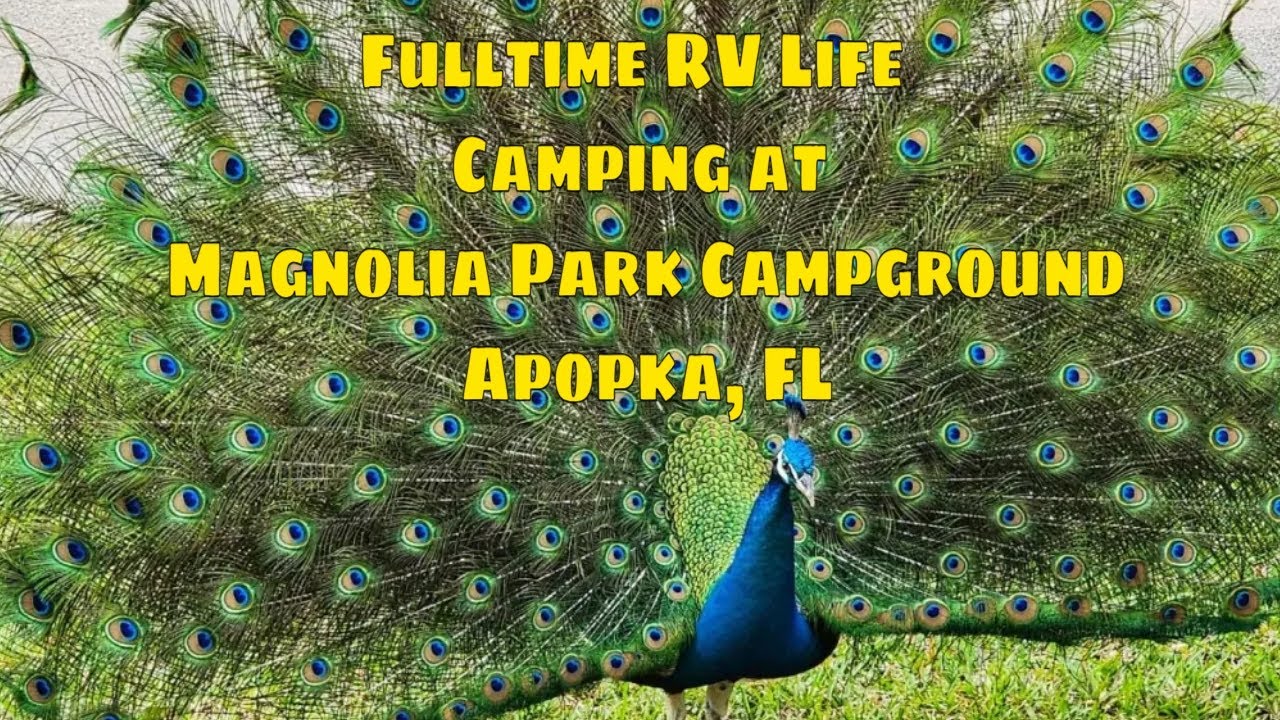 Fulltime RV Life - Camping at Magnolia Park Campground, Apopka, FL ...