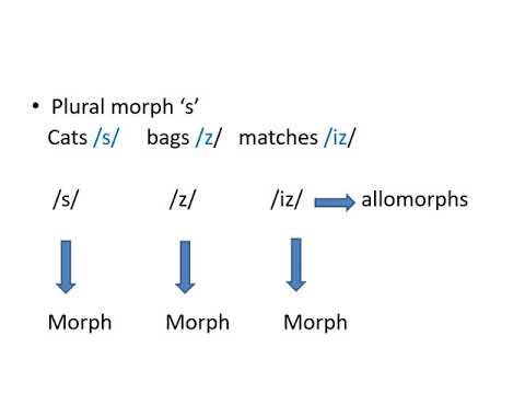 Lexical Studies BS VI: Morph, Morpheme and Allomorph - YouTube