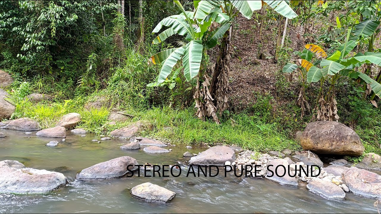 Stereo And Rare Sound Relaxing Nature Sounds for Sleeping - Natural ...