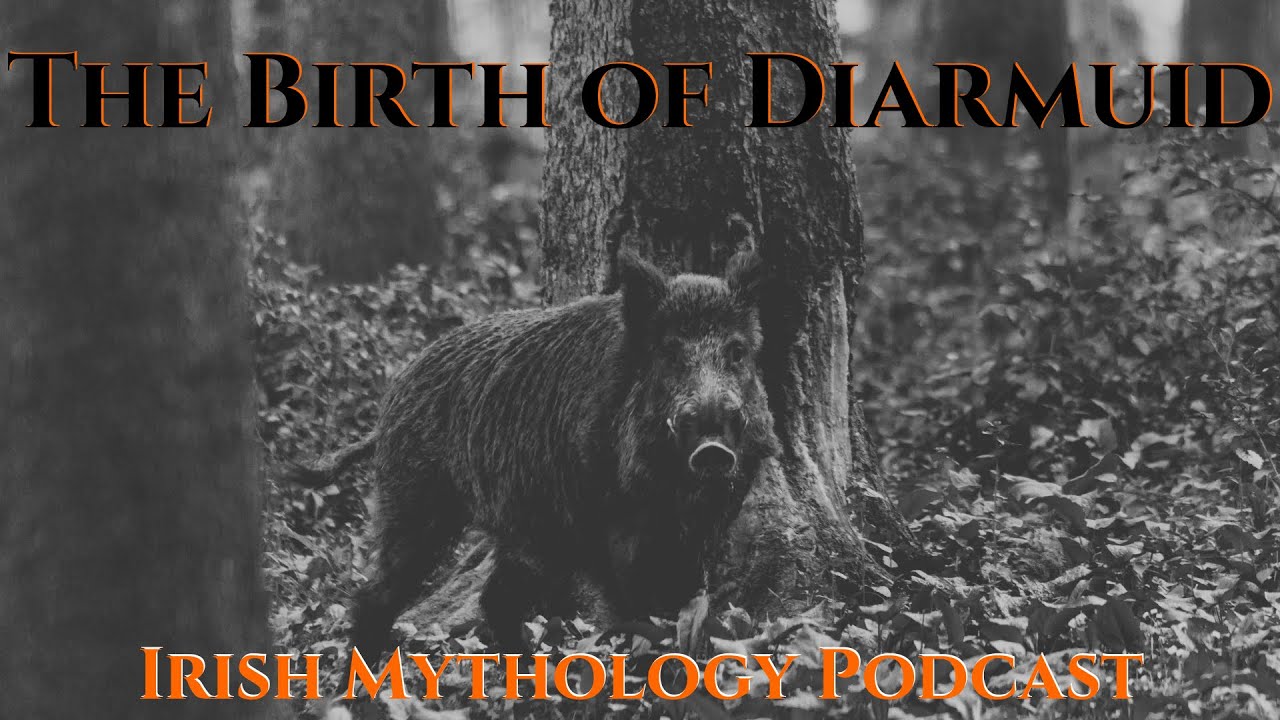 The Birth of Diarmuid Part 2 - Fianna Saga (Irish Mythology Podcast ...