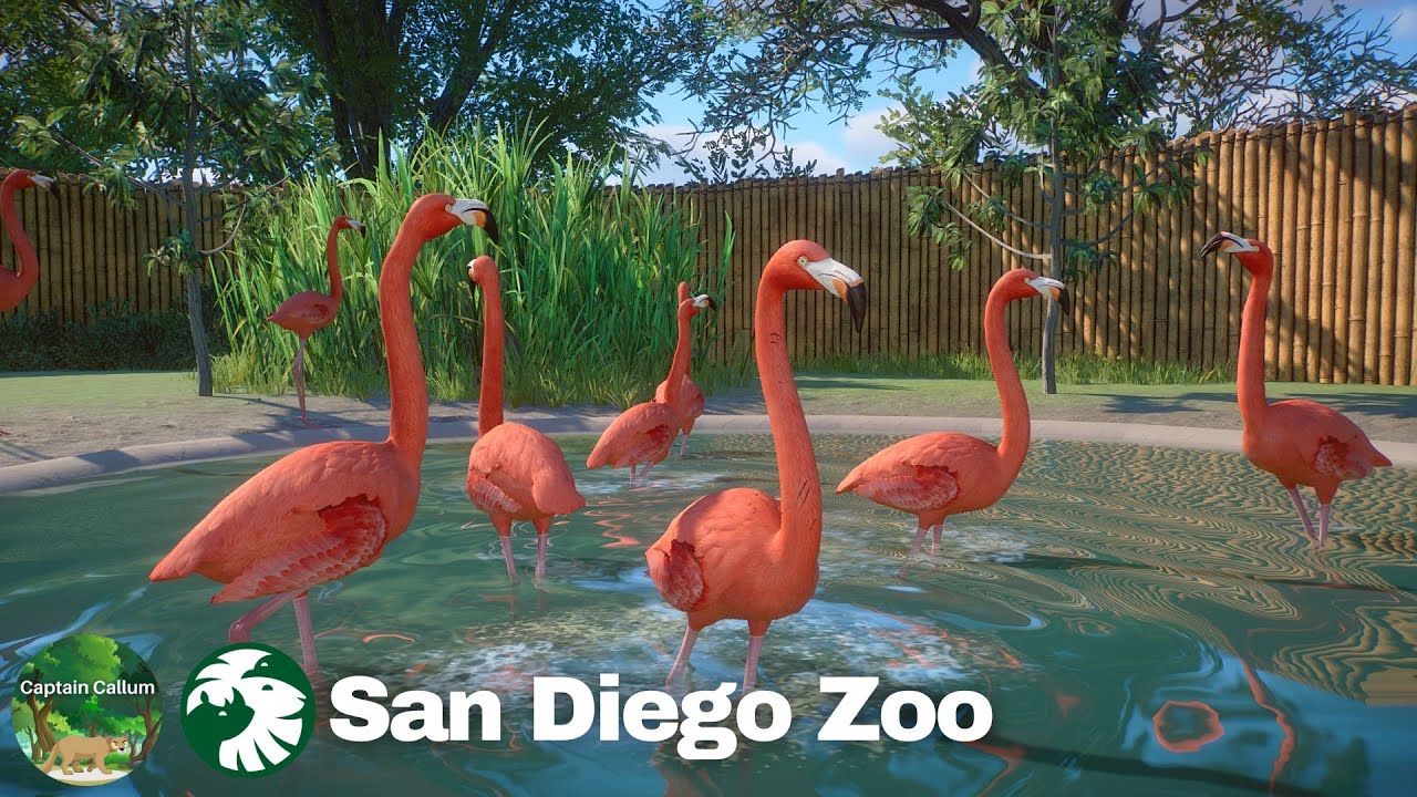 Urban Jungle's Assorted Animals | San Diego Zoo in Planet Zoo Ep.23 ...