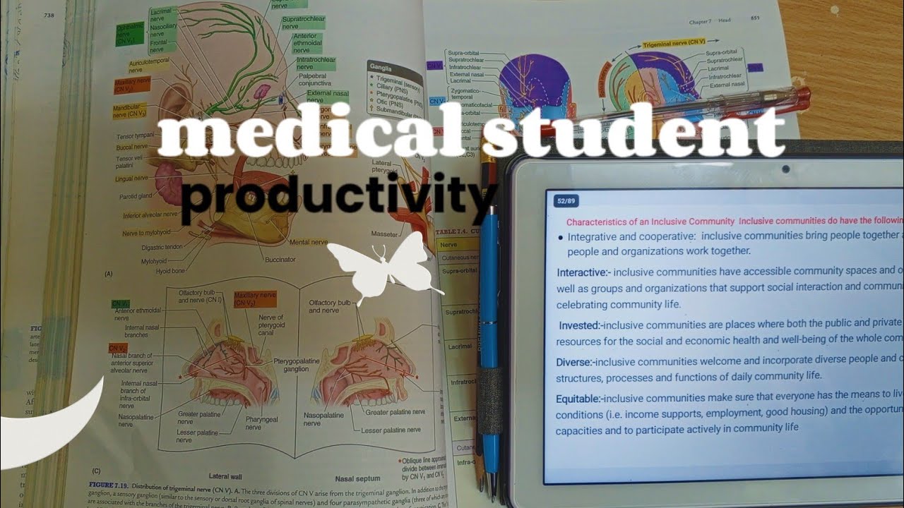Productive study vlog📖|Day and night🙂‍↕️|library studying📚exam week📑 ...