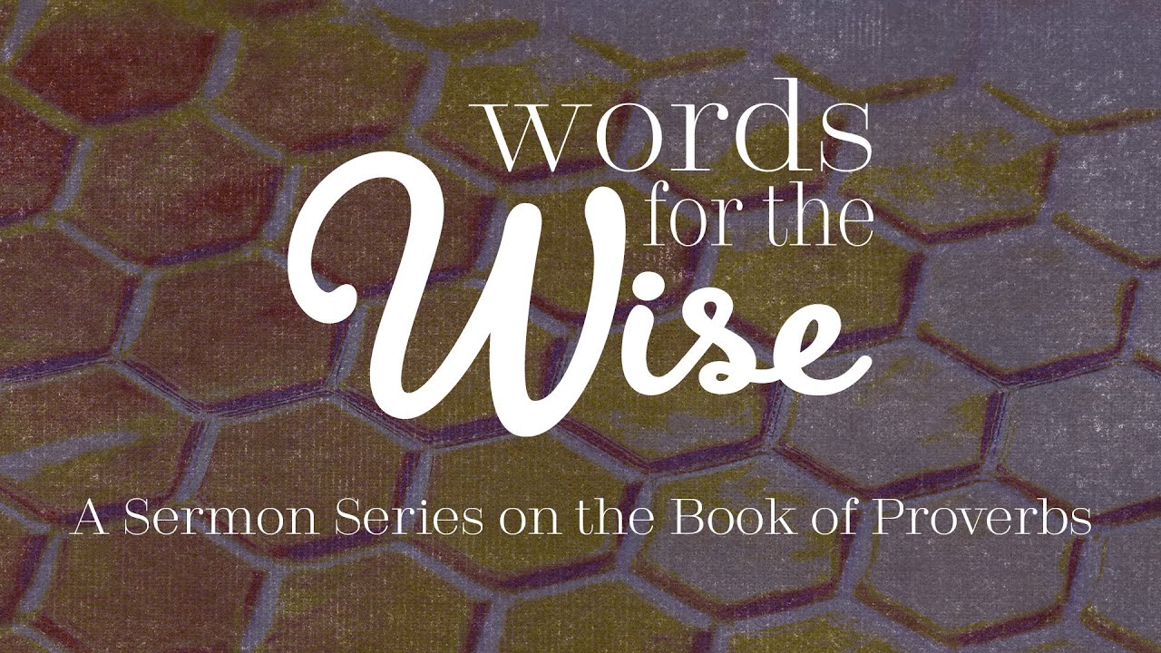 Sermon 3-9-25 Words for the Wise: Roadblocks to Ruin - YouTube