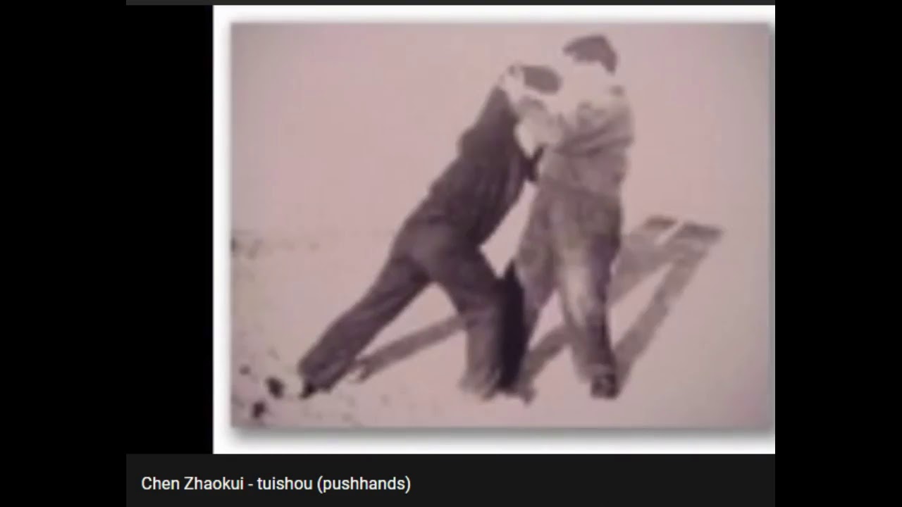 GM Chen Zhaokui: Training for Sparring w/ tuishou ( push hands ) stills ...