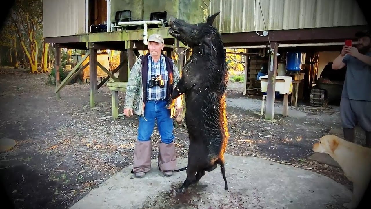 MYAddiction 2021 Louisiana Marsh Deer Hunting Area 7 - YouTube