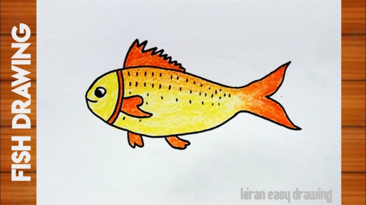 easy fish drawing, how to draw fish for beginners, fish drawing step by ...