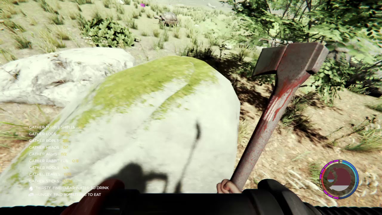 Turtle hunting - YouTube