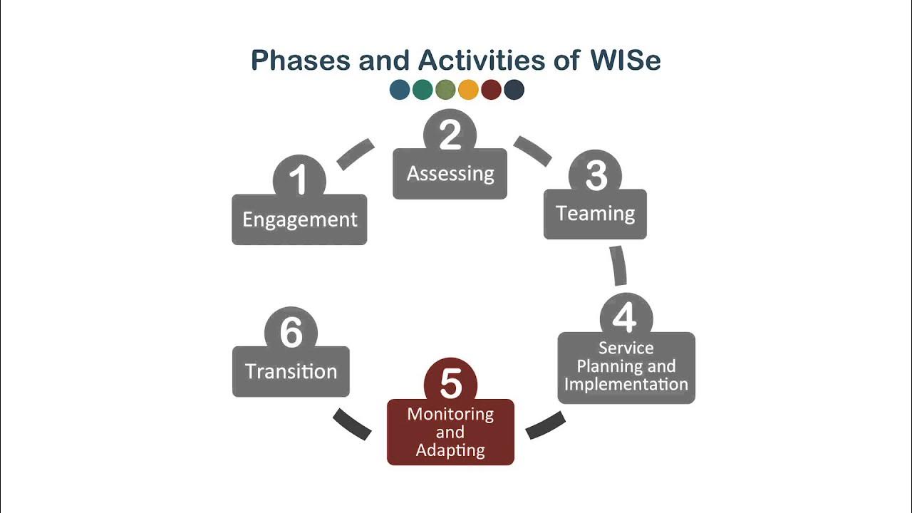WISe Training Module 4 - Phases, Part B - YouTube