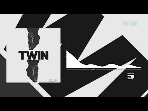 Micky Singer - Twin ( Official Audio)