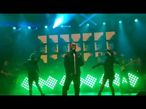 Fiesta - Amor latino