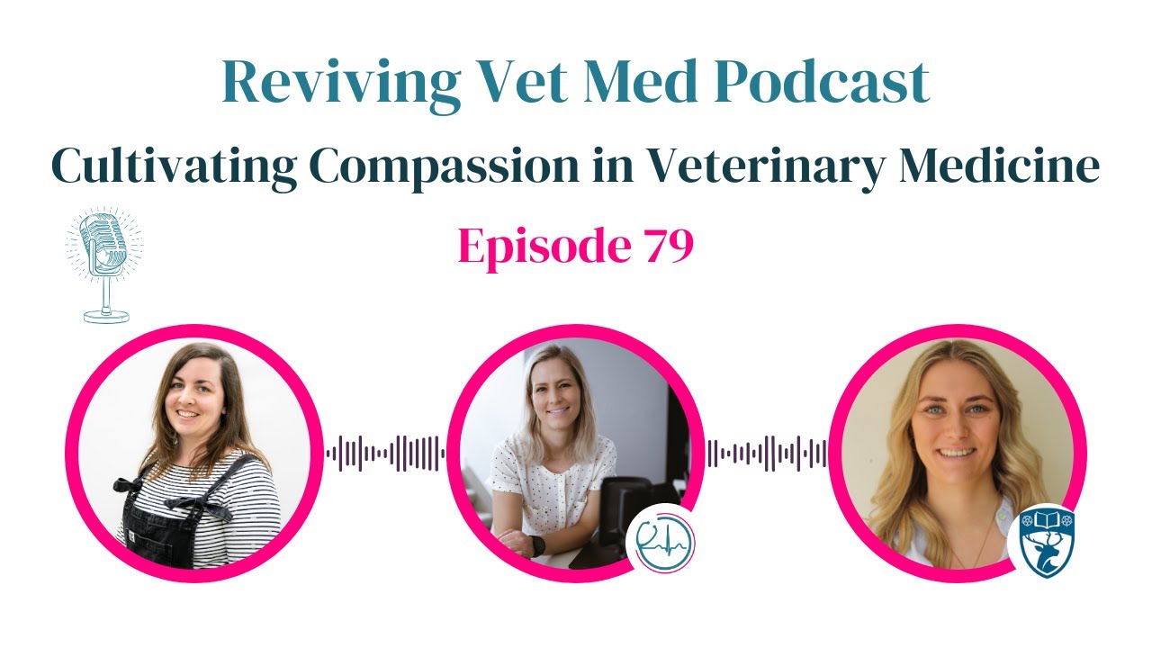 Cultivating Compassion in Veterinary Medicine | Episode 79 - YouTube