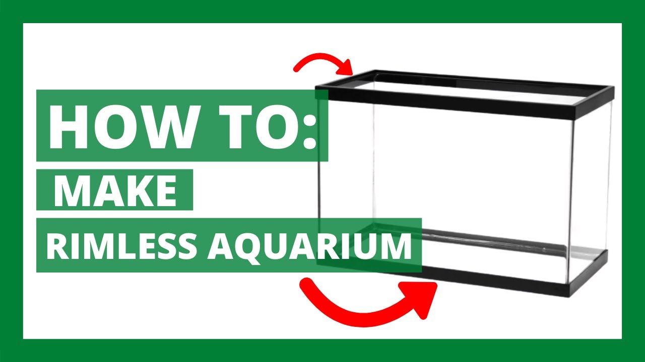 How To: DIY Remove Rims from Fresh Or Salt Water Aquarium-Step By Step ...