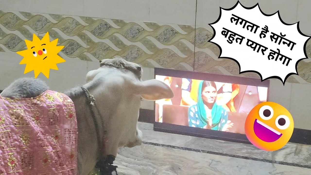 New! एपिसोड 1 😀सुरभि की मस्ती 😀 फुल कॉमेडी और ,,,तेरे संग ल,,😀 #comedy ...