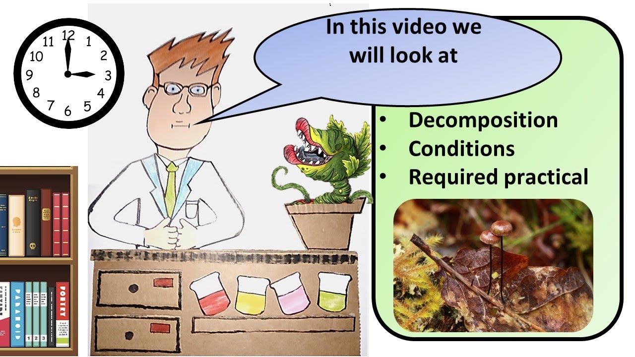 GCSE Biology Decomposition Revision - YouTube