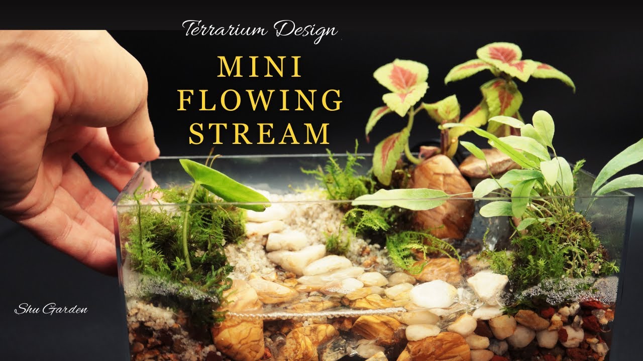 [Terrarium Project] Build a flowing stream in a small box - YouTube