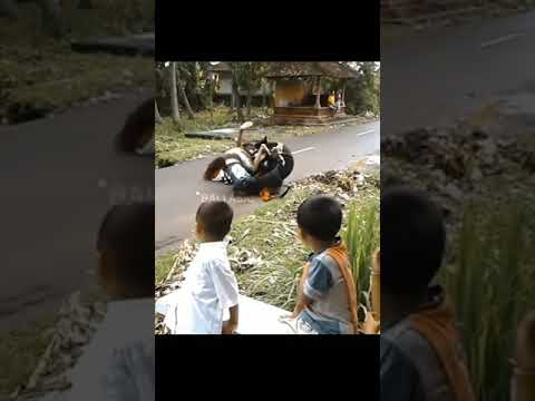 Barong bangkung jatuh #shorts