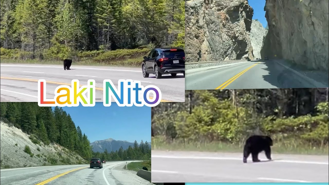 Highway 93 Scenic Drive - YouTube