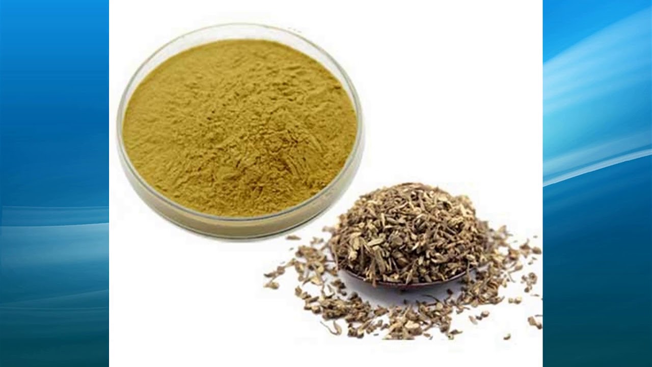 bupleurum extract supplier,wholesale,bulk,factory - YouTube