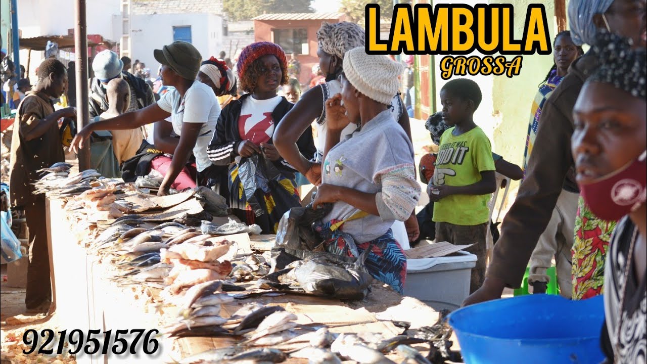 LAMBULA GROSSA - YouTube