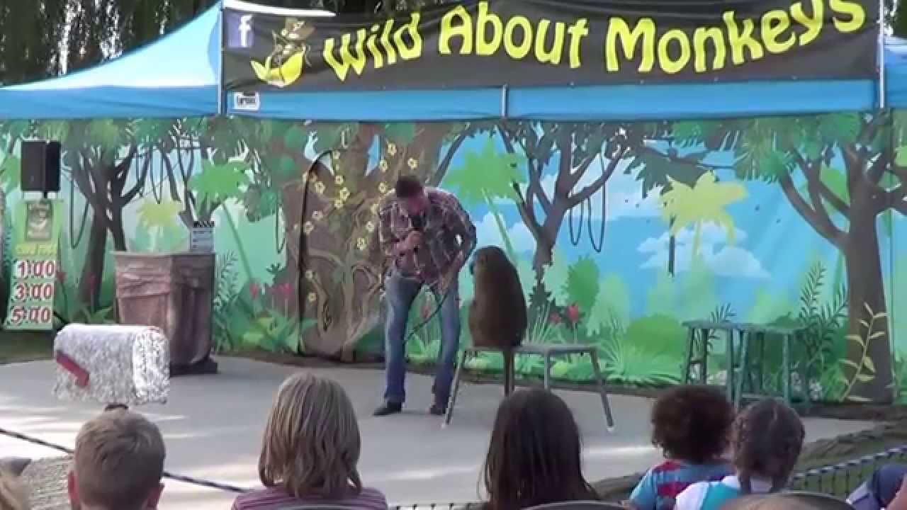 Wild about Monkeys Show at the Sevier County Fair - YouTube