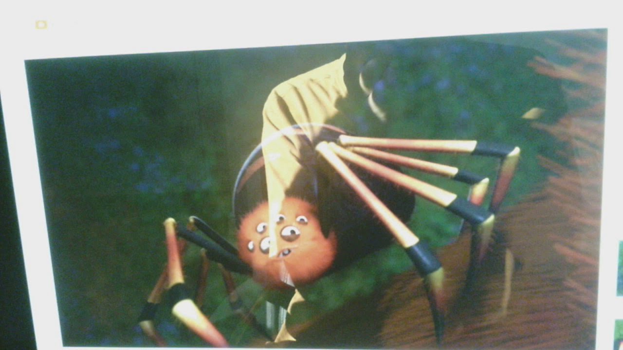 Madagascar spider scared it mort - YouTube