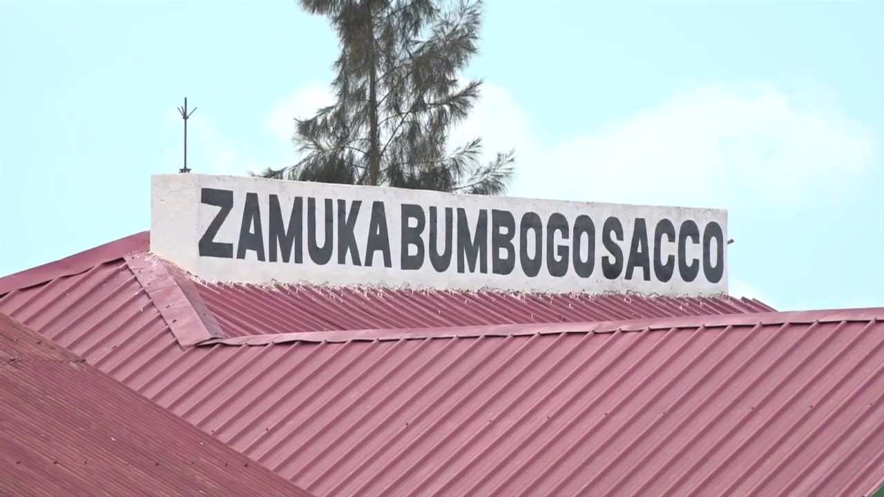 Bumbogo baheze mu gihirahiro| Ntibazi irengero ry'ayabo yibiwe mu ...