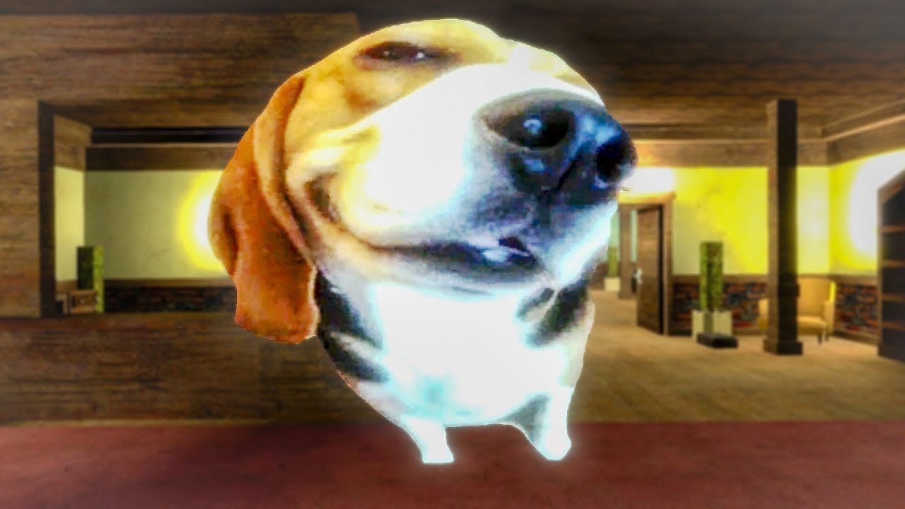 Nicos Nextbots Beagle Jumpscare - YouTube