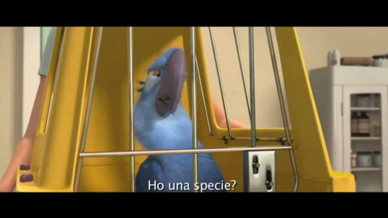 Angry Birds Rio - Official Gameplay Trailer - YouTube