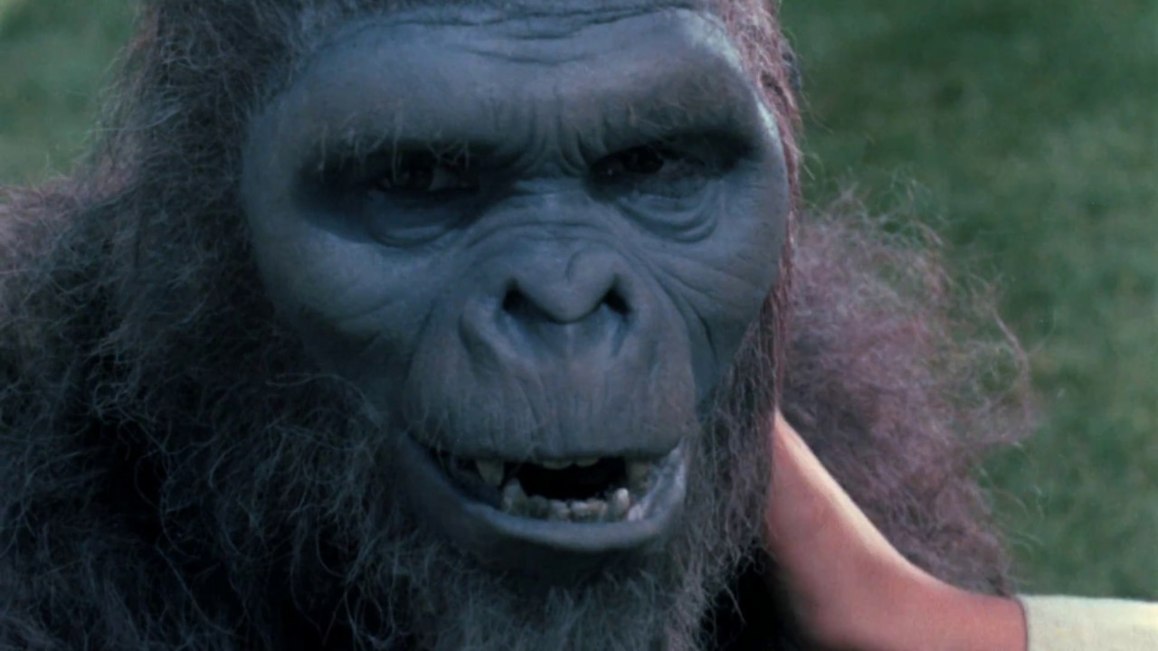 Schlock (1973) HD Trailer v2 [1080p] - YouTube