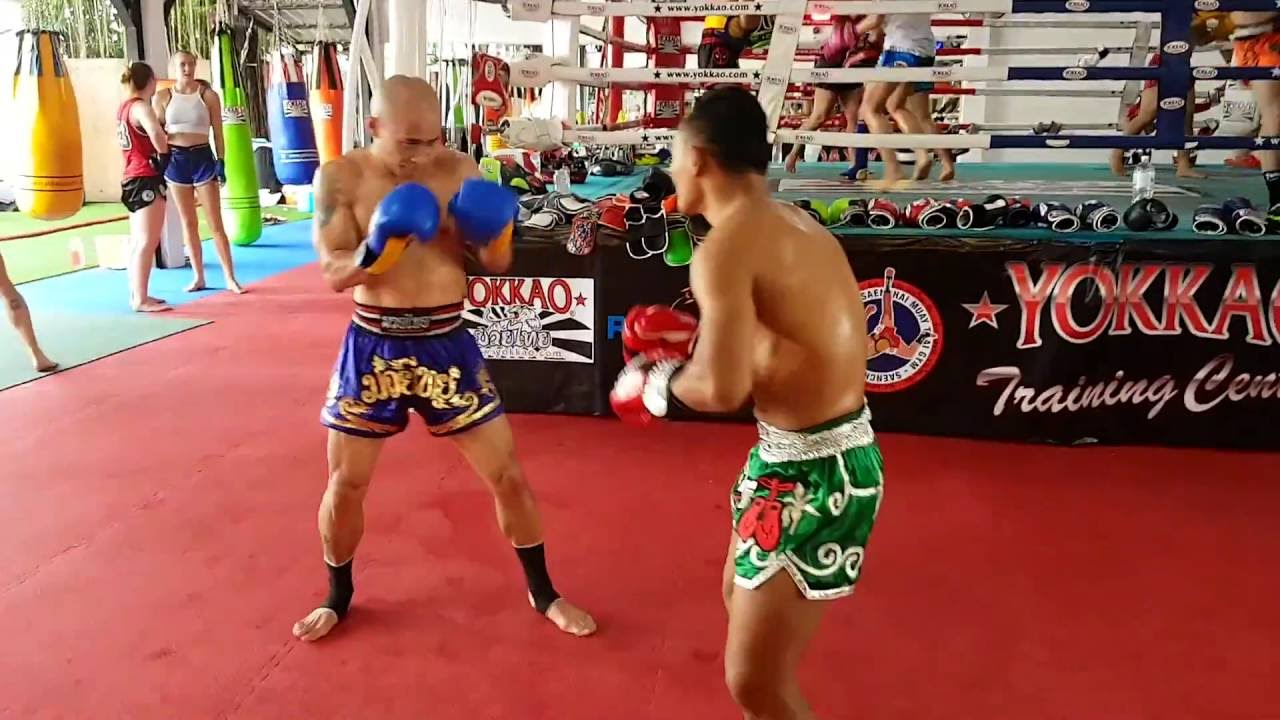 Sparring With Saenchai at Yokkao Muay Thai Gym in Bangkok - YouTube