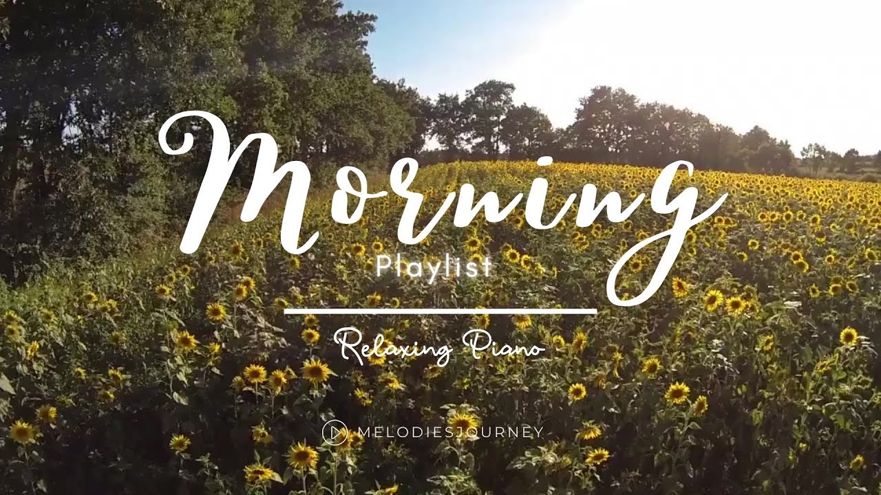🎶 Morning Playlist | Relaxing Piano | Meditation Music | Healing Music ...