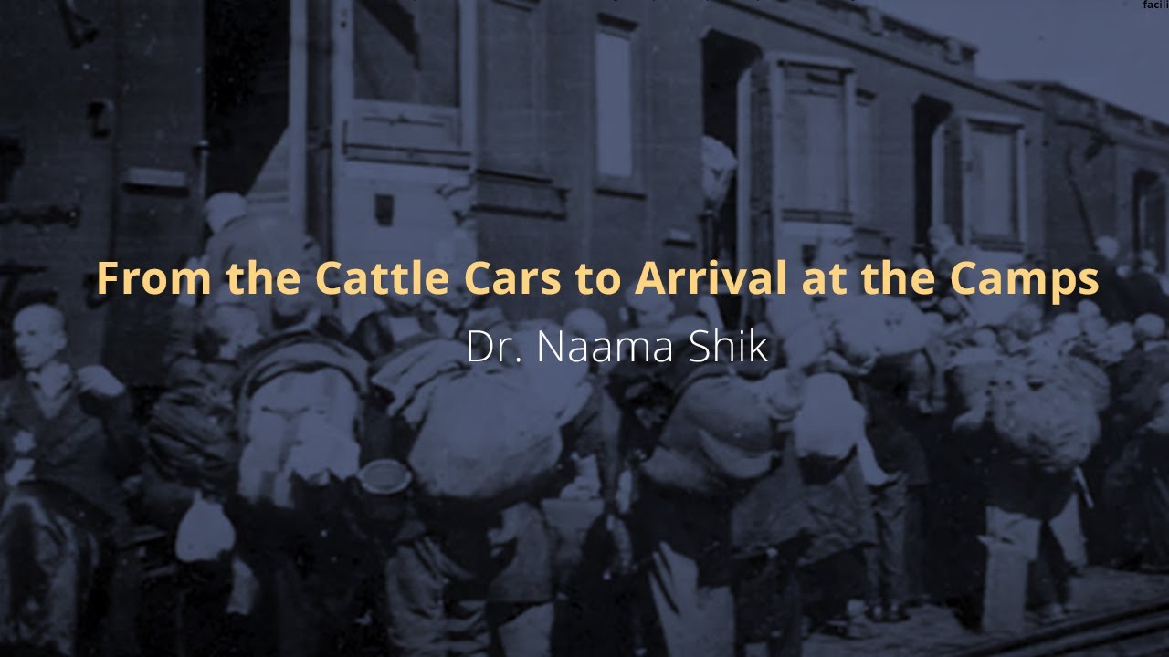 Cattle Cars Holocaust