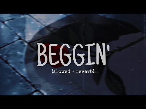 BEGGIN'- MÅNESKIN (slowed + reverb)