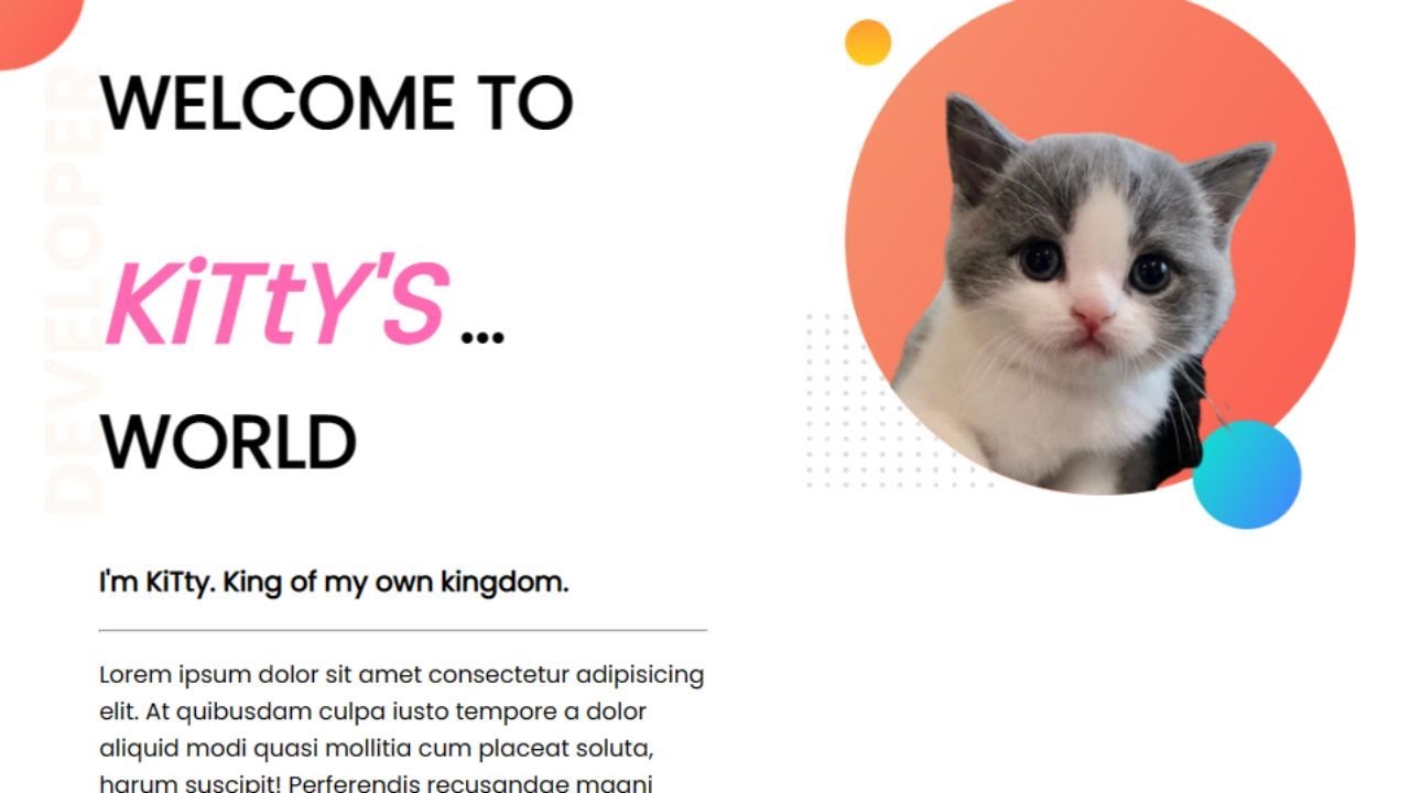Create Nav Bar Using Html And Css Responsive Nav Bar Web Design Class Programming With