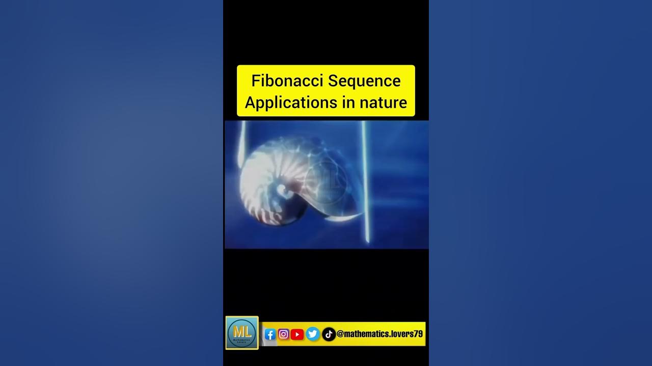 Applications of Fibonacci Sequence in Nature #maths #fibonacci #nature #application - YouTube